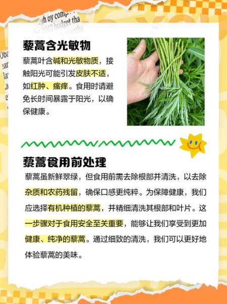 芦蒿叶子能吃吗_芦蒿叶子怎么吃-第1张图片-山城妙识