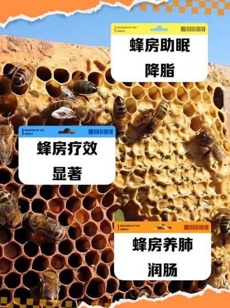 露蜂房的功效与作用_露蜂房能治什么病-第3张图片-山城妙识