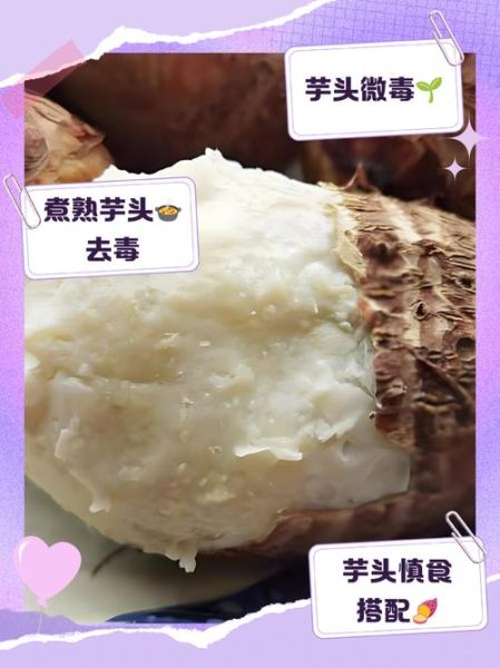 芋头没煮熟吃了会中毒吗_芋头中毒症状-第2张图片-山城妙识