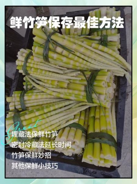 鲜笋的功效与作用_鲜笋怎么吃最健康-第2张图片-山城妙识