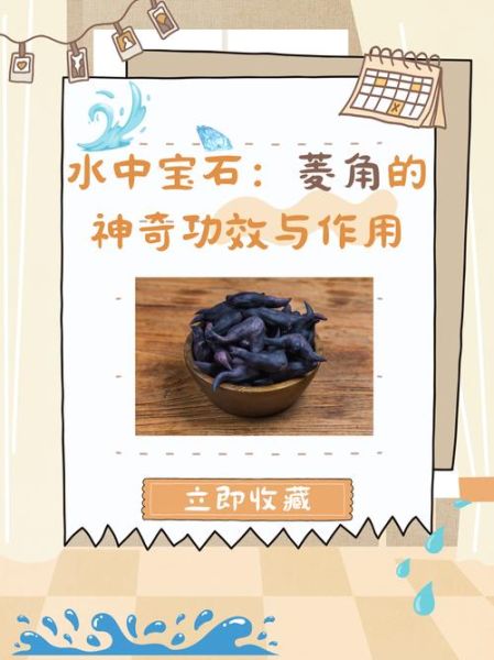 菱角的功效与作用_菱角的禁忌人群有哪些-第1张图片-山城妙识