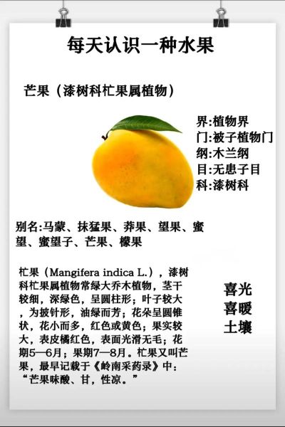 芒果的营养价值及禁忌_吃芒果会上火吗-第1张图片-山城妙识 芒果的营养价值及禁忌_吃芒果会上火吗-第1张图片-山城妙识