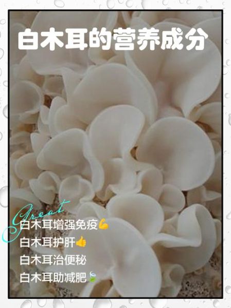长期吃木耳有什么好处_木耳的功效与作用-第2张图片-山城妙识