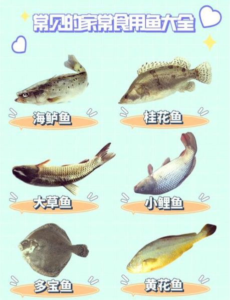 常见鱼的种类图片和名字_淡水鱼与海水鱼名称对照-第1张图片-山城妙识