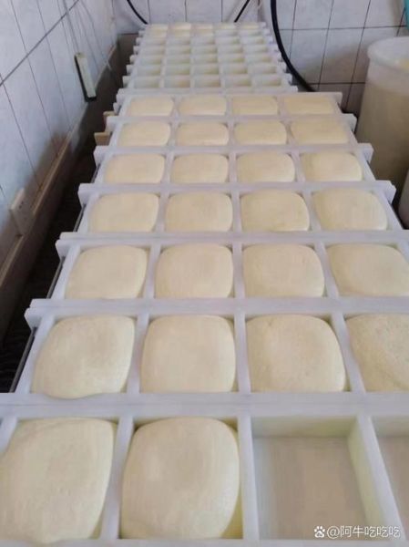 内蒙奶豆腐怎么吃好吃_奶豆腐的家常做法-第1张图片-山城妙识