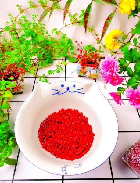 赤豆酒酿怎么做_赤豆酒酿的做法步骤-第1张图片-山城妙识