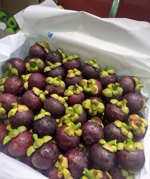 水果皇后是什么_水果皇后有哪些品种-第3张图片-山城妙识