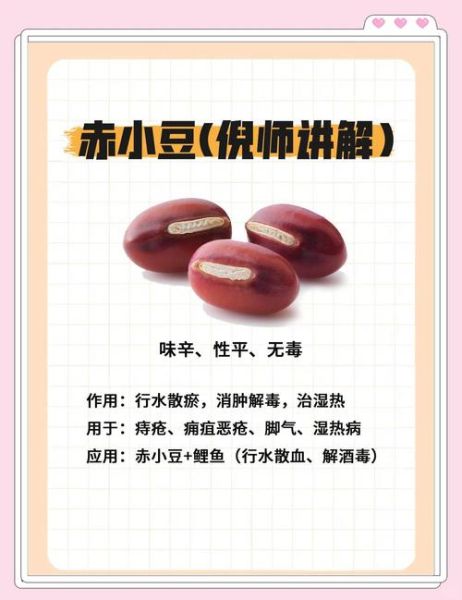 赤小豆的功效与作用禁忌_赤小豆的正确吃法-第1张图片-山城妙识 赤小豆的功效与作用禁忌_赤小豆的正确吃法-第1张图片-山城妙识