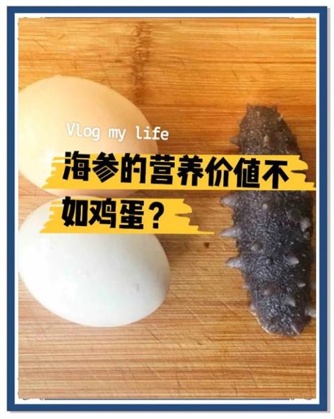 海参营养价值不如鸡蛋_海参和鸡蛋哪个更营养-第2张图片-山城妙识 海参营养价值不如鸡蛋_海参和鸡蛋哪个更营养-第2张图片-山城妙识