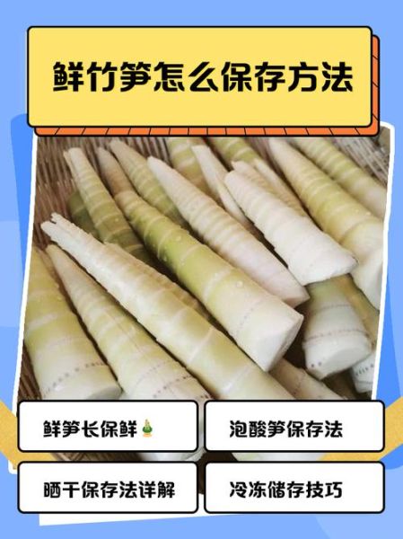 鲜竹笋怎么处理才能吃_鲜竹笋去涩味的方法-第2张图片-山城妙识 鲜竹笋怎么处理才能吃_鲜竹笋去涩味的方法-第2张图片-山城妙识