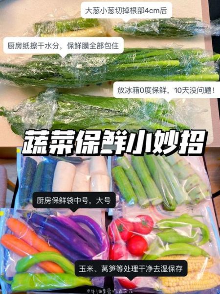 水葱怎么养_水葱和香蒲的区别-第2张图片-山城妙识 水葱怎么养_水葱和香蒲的区别-第2张图片-山城妙识