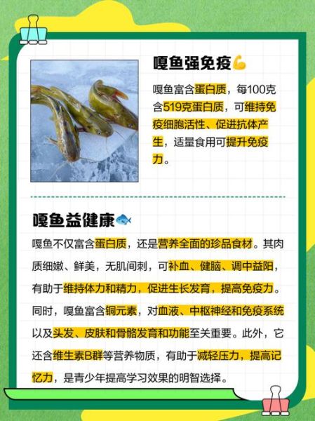 嘎鱼的营养价值及功效_嘎鱼的禁忌有哪些-第1张图片-山城妙识