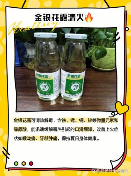 金银花露怎么制作_金银花露的功效与禁忌-第1张图片-山城妙识
