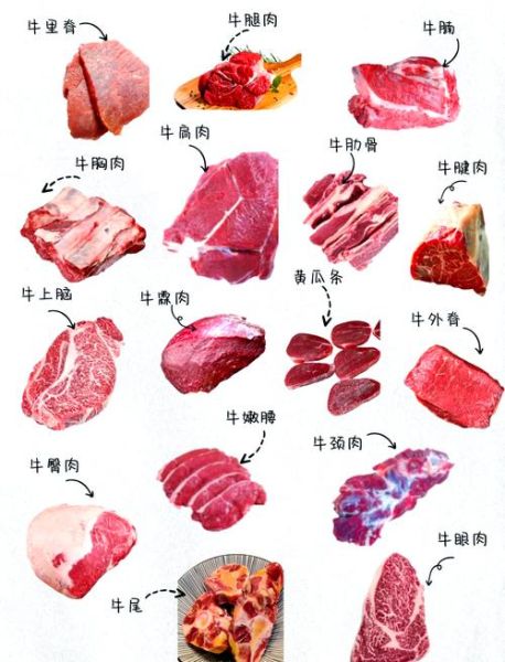 冷吃牛肉用什么部位_牛腱子还是牛里脊-第1张图片-山城妙识 冷吃牛肉用什么部位_牛腱子还是牛里脊-第1张图片-山城妙识