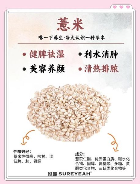 薏米养生不适合哪些人_薏米哪些人不能吃-第2张图片-山城妙识