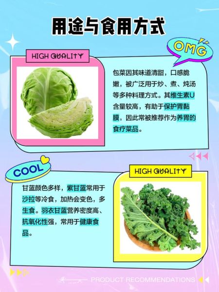 甘蓝是什么蔬菜_甘蓝和包菜的区别-第1张图片-山城妙识