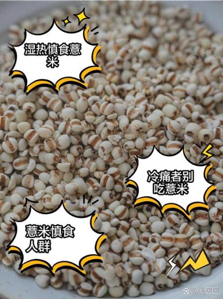 薏米养生不适合哪些人_薏米哪些人不能吃-第3张图片-山城妙识