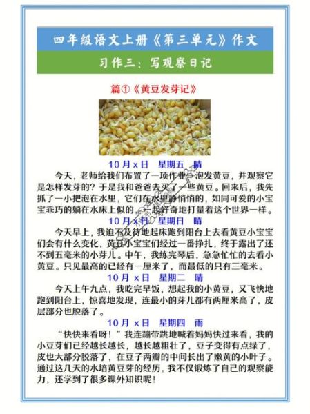 黄豆发芽需要几天_黄豆生长周期多久-第2张图片-山城妙识