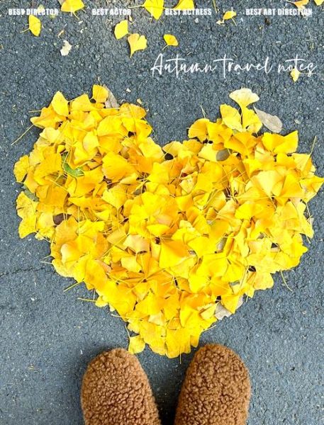 银杏叶图片唯美_如何拍出高级感-第3张图片-山城妙识