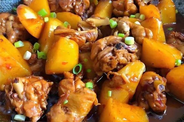 萝卜炖鸡块怎么做好吃_萝卜炖鸡块的家常做法-第3张图片-山城妙识