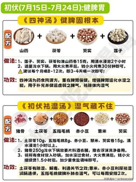 药膳中药材有哪些_如何搭配不上火-第3张图片-山城妙识
