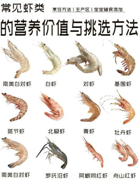 对虾是什么虾_对虾和基围虾区别-第2张图片-山城妙识