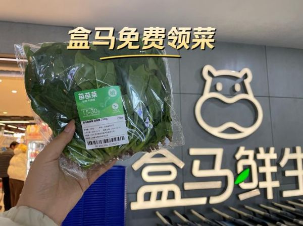菜划算怎么买最便宜_菜划算新人优惠在哪领-第2张图片-山城妙识