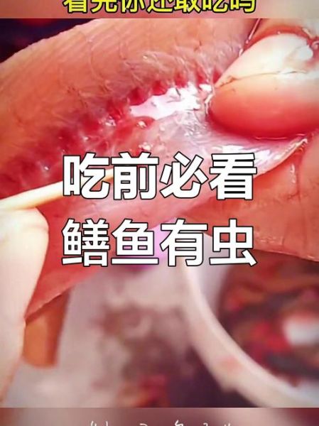 黄鳝寄生虫多少度能杀死_高温处理安全温度-第1张图片-山城妙识 黄鳝寄生虫多少度能杀死_高温处理安全温度-第1张图片-山城妙识