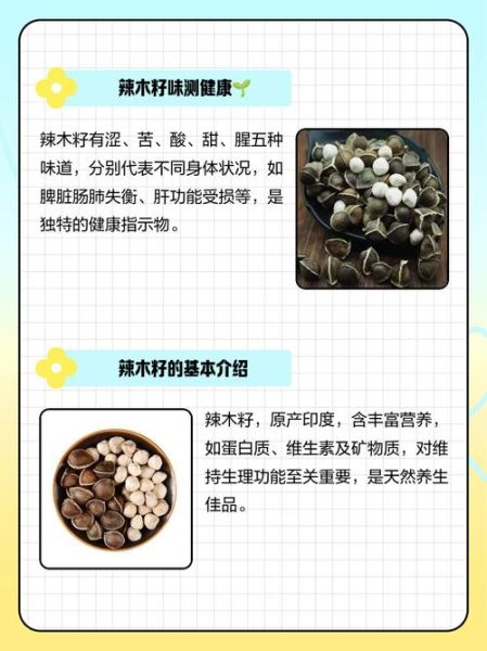 辣木籽空腹吃还是饭后_辣木籽什么时候吃最好-第1张图片-山城妙识 辣木籽空腹吃还是饭后_辣木籽什么时候吃最好-第1张图片-山城妙识