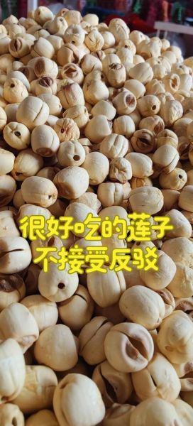 莲子怎么吃最好_莲子怎么煮才软糯-第3张图片-山城妙识