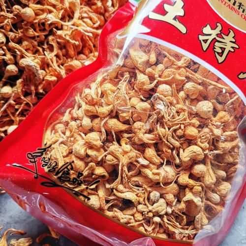 金虫草的功效与作用_金虫草怎么吃效果最好-第2张图片-山城妙识 金虫草的功效与作用_金虫草怎么吃效果最好-第2张图片-山城妙识