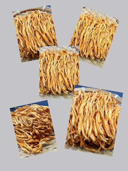 金虫草的功效与作用_金虫草怎么吃效果最好-第3张图片-山城妙识 金虫草的功效与作用_金虫草怎么吃效果最好-第3张图片-山城妙识