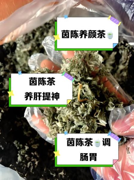 茵陈茶可以长期喝吗_茵陈茶长期饮用副作用-第2张图片-山城妙识