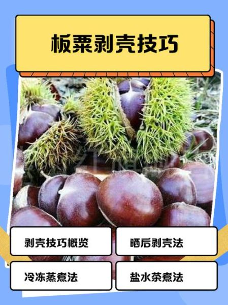 生板栗怎么去皮_生板栗快速去皮方法-第1张图片-山城妙识