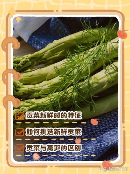 贡菜长什么样_贡菜生长过程-第3张图片-山城妙识
