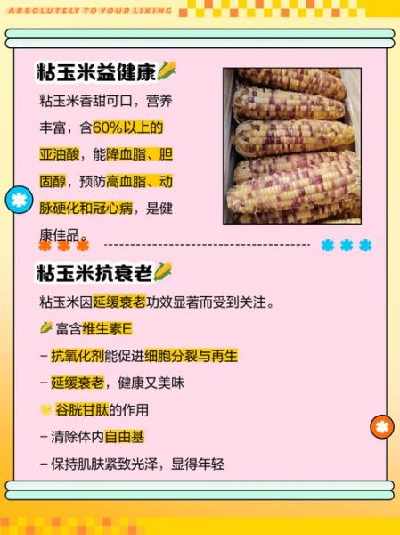 玉米的功效与作用禁忌_玉米什么人不能吃-第3张图片-山城妙识