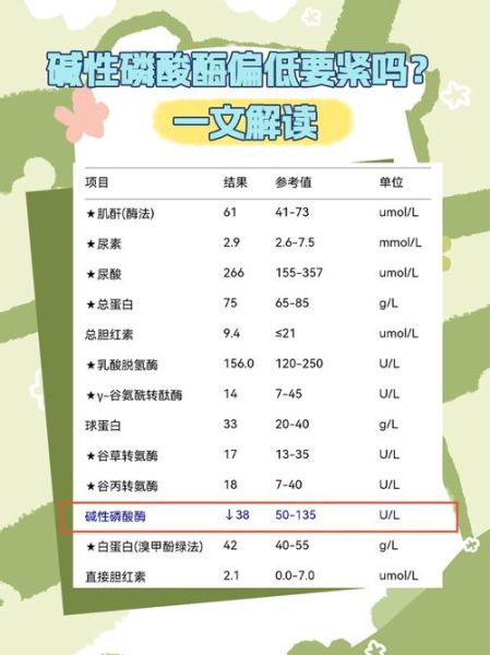 碱性磷酸酶偏低是什么原因_对身体有什么影响-第1张图片-山城妙识
