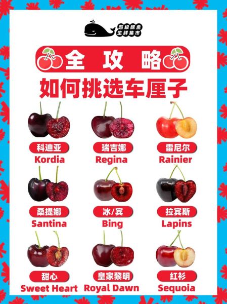 车厘子多少钱一斤_车厘子怎么挑选-第1张图片-山城妙识 车厘子多少钱一斤_车厘子怎么挑选-第1张图片-山城妙识