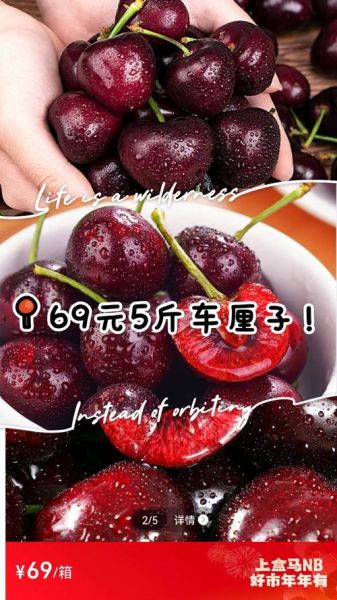 车厘子多少钱一斤_车厘子怎么挑选-第2张图片-山城妙识 车厘子多少钱一斤_车厘子怎么挑选-第2张图片-山城妙识