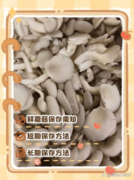 鲜蘑菇怎样存放时间更长些_蘑菇放冰箱能保存多久-第2张图片-山城妙识 鲜蘑菇怎样存放时间更长些_蘑菇放冰箱能保存多久-第2张图片-山城妙识