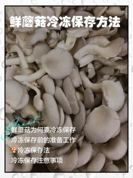 鲜蘑菇怎样存放时间更长些_蘑菇放冰箱能保存多久-第1张图片-山城妙识 鲜蘑菇怎样存放时间更长些_蘑菇放冰箱能保存多久-第1张图片-山城妙识