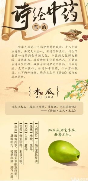 木瓜诗经拼音怎么读_木瓜诗经拼音版原文-第3张图片-山城妙识