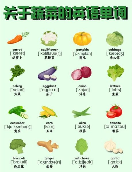 白菜英语怎么说_白菜英语例句-第1张图片-山城妙识