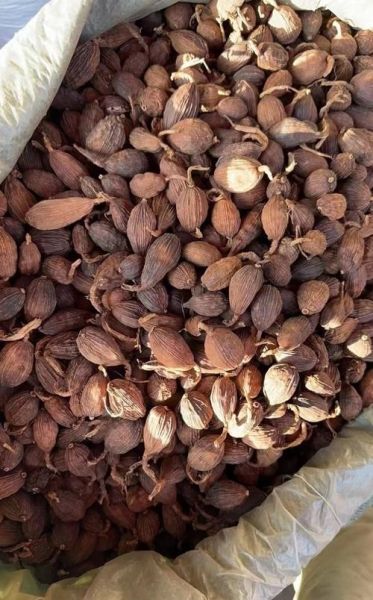 草果图片大全大图_草果长什么样-第2张图片-山城妙识