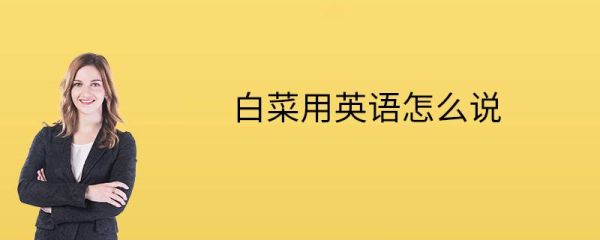 白菜英语怎么说_白菜英语例句-第2张图片-山城妙识