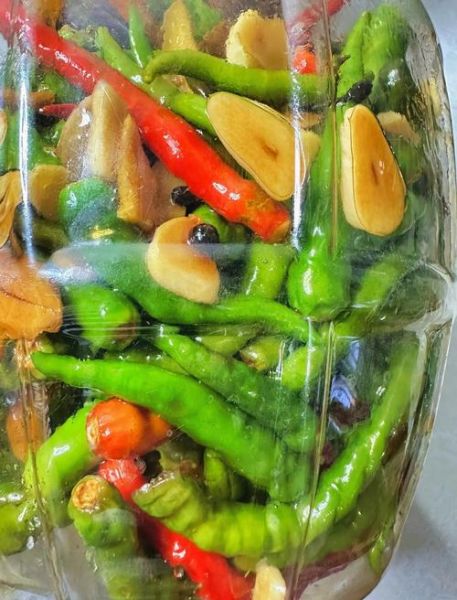 辣椒怎么腌制放一年不坏_腌制辣椒的正确方法-第1张图片-山城妙识