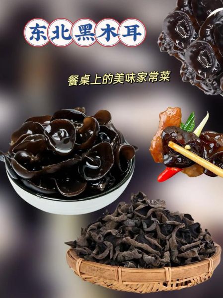 黑了木耳啥意思_黑了木耳网络用语解析-第3张图片-山城妙识