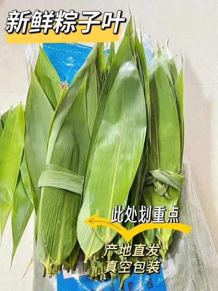 粽子叶要煮多久_粽子叶煮前怎么处理-第2张图片-山城妙识