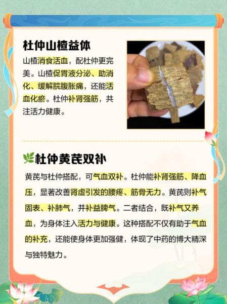 杜仲怎么吃治腰椎间盘突出_杜仲治腰突的正确吃法-第2张图片-山城妙识