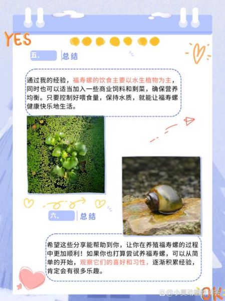 吃了福寿螺怎么补救_福寿螺寄生虫潜伏期多久-第2张图片-山城妙识